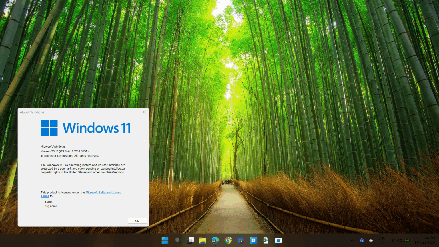 Troubleshoot Windows 11 upgrade errors